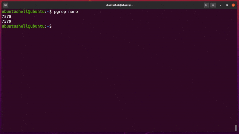 Force Kill Linux Process Using Top Kill Pkill Killall And Xkill