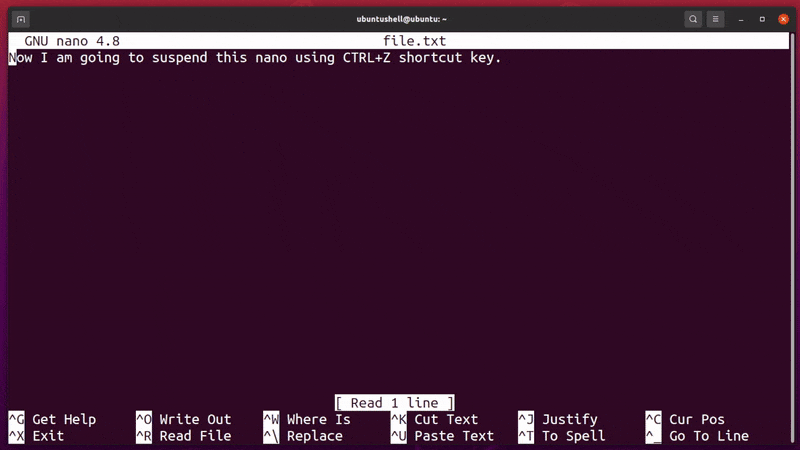 Suspend a Process and Resume it later in Linux