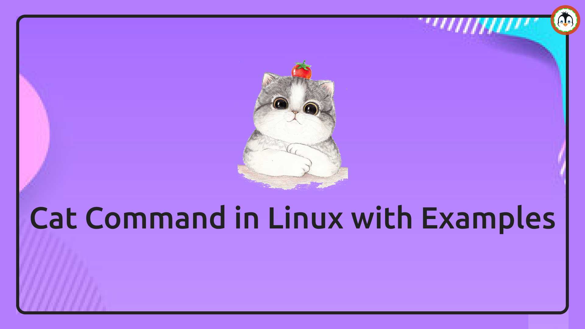 Cat Command In Linux With Examples