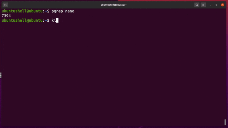 Force Kill Linux Process using Top, Kill, Pkill, Killall, and Xkill ...